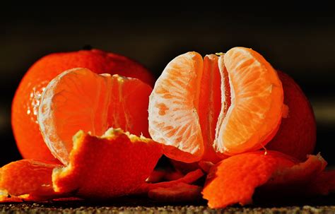 무료 이미지 단 꽃잎 주황색 식품 빨간 생기게 하다 가을 호박 흥미 진진한 건강한 먹다 맛있는 닫다