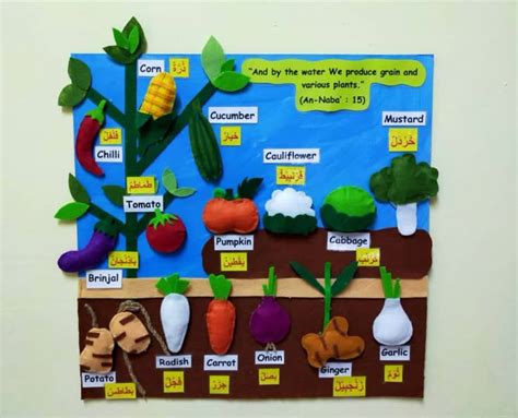 Vegetable Poster By Teacher Sarina Eğitimsel Elişleri Kreş Meyve