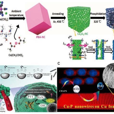 Schematic Illustration Of A The Synthesis Of Cobalt Phosphide Cop Download Scientific