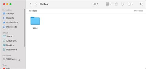 5 Steps To Organize Photos On Mac With Ease