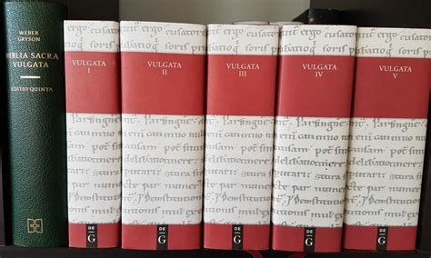 The Vulgate Institute Iovs Language As A Tool