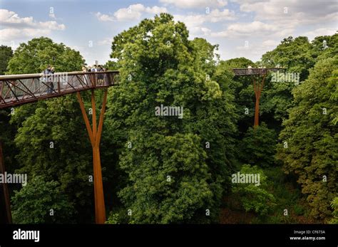 Treetop Walkway Hi Res Stock Photography And Images Alamy