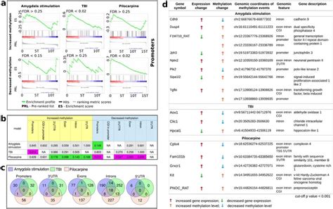 Correlation Between Methylation And Gene Expression A Examples Of Download Scientific