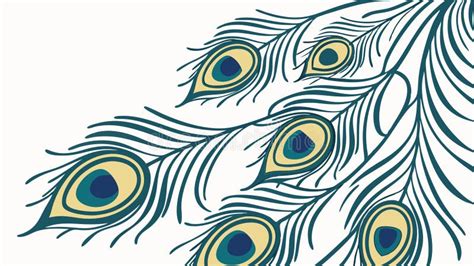 Elegant Peacock Feathers Vector Decorative Elements Vector Design