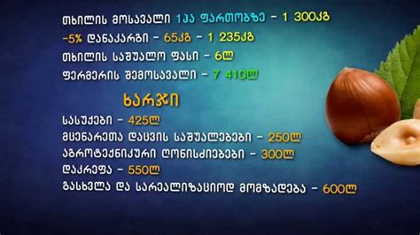 აგრო რჩევები თხილის გაშენება და სარგებელი Youtube