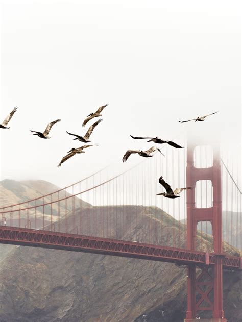 Use React Error Boundary To Handle Errors In React