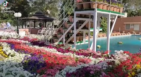 Asad Ullah Khan Posted On Linkedin