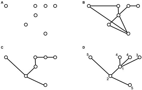 Examples Of Point And Graph Depictions Of An Invasive Process The