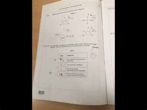 Biology Mock Resit Paper 1 2021 Flashcards Quizlet
