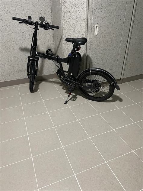 알톤 니모fd 에디션 전기자전거 당근 중고거래