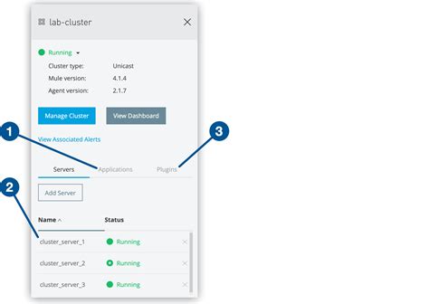View Server Information Hybrid Mulesoft Documentation