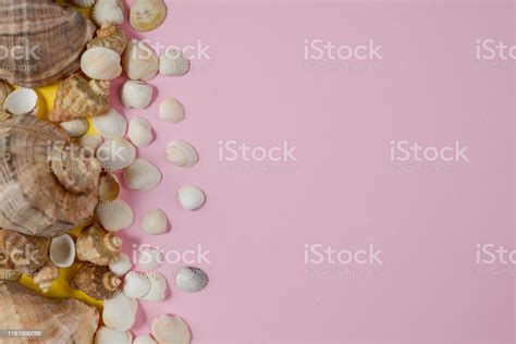 여름 여행 휴가의 창조적 인 평면 누워 개념입니다 노란색과 분홍색 배경에 다양 한 종류의 조개의 평면도 최소 스타일의 복사 공간 텍스트 템플릿 0명에 대한 스톡 사진 및