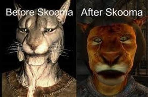 Elder Scrolls 10 Khajiit Memes That Are Hilarious If You Have Coin
