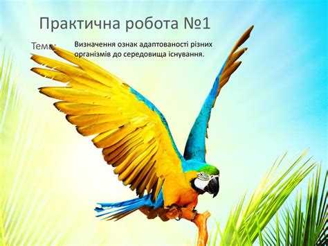 Практична робота №1 Визначення ознак адаптованості різних організмів до середовища існування