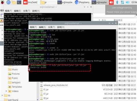 Solved Raspberry Pi Os Glgeterror 0x505 B4x Programming Forum