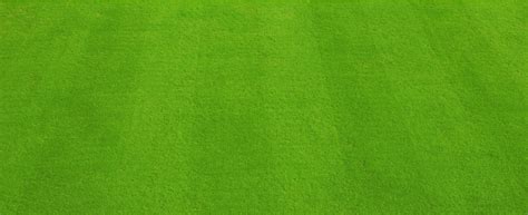 Artificial Grass Buying Guide In Arizona Your Complete Resource