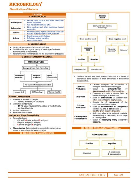 Solution Microbiology Classification Of Bacteria Studypool