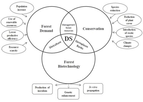 Scheme Representing The Relationship Between Forest Demand And Download Scientific Diagram