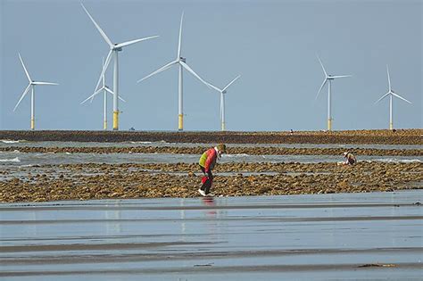 新聞透視》選後必迎來一波電價調漲風暴 財經焦點 中國時報