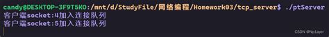 Linux网络编程之多线程并发tcp连接linux Tcp Server线程 Csdn博客