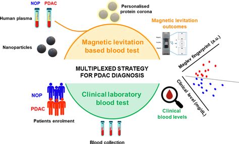 Multiplexed Strategy For Pdac Diagnosis Representative Scheme Of The Download Scientific