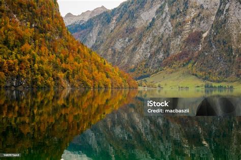 가을 단풍의 길과 독일의 금빛 단풍을 비추는 따뜻한 빛이 있는 가을 숲 풍경 가을 숲의 자연을 배경으로 한 보도 형형색색의 숲 속의 생생한 10월 0명에 대한 스톡 사진 및