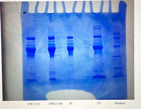 Section Ii Data Sheet Lab 2 From Book Calculate