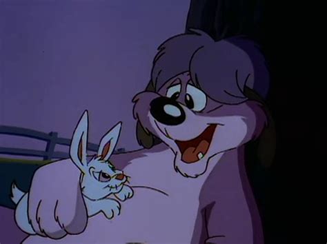 Bunny Bedtime Animaniacs Wiki Fandom