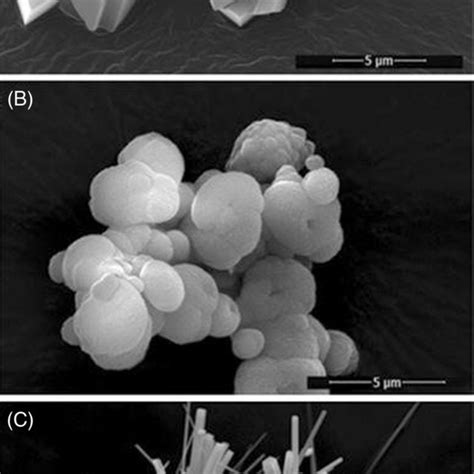 Pdf A Novel Classification Of Bone Graft Materials