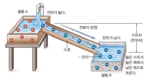 금성출판사 티칭백과
