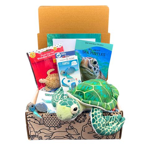 Sea Turtle Box Wild Wonder Box
