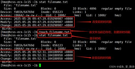 Linux基本命令篇 —— Touch命令linux Touch Csdn博客 Linux基本命令篇 —— Touch命令linux Touch Csdn博客