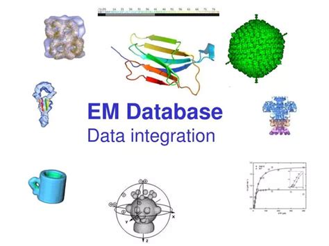 PPT EM Database Data Integration PowerPoint Presentation Free Download ID 806305