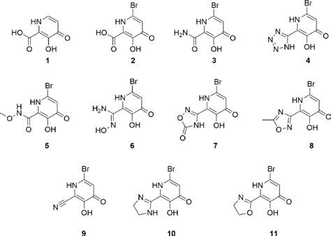 Chemical Structures Of Metal Binding Isosteres Mbis Investigated In