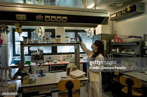 tls photos and premium high res pictures getty images