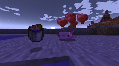 What Do Axolotls Eat In Minecraft Shockbyte