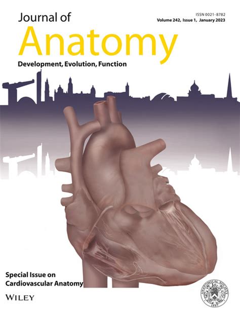 Issue Cover January 2023 2023 Journal Of Anatomy Wiley Online Library