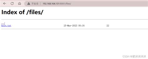 [中间件漏洞]nginx漏洞复现 nginx整数溢出漏洞处理 csdn博客