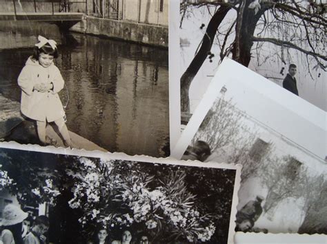 In Search Of Logged Time Public Books