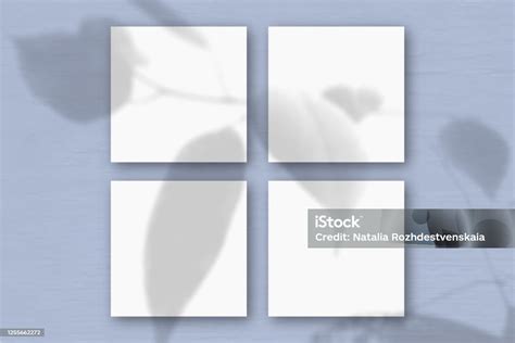 파란색 벽 배경에 흰색 질감 종이 4 평방 시트 식물 그림자가 있는 모형 오버레이 자연채광은 이국적인 식물의 그림자를 투사합니다 플랫 레이 상단 보기 0명에 대한 스톡 사진