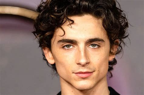 تیموتی شالامی در راه اسکار؛ زندگی خصوصی و بهترین فیلم‌ها