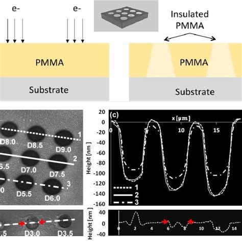 Calibration Sample Characterization By Peak Force Qnm A Lateral Download Scientific Diagram
