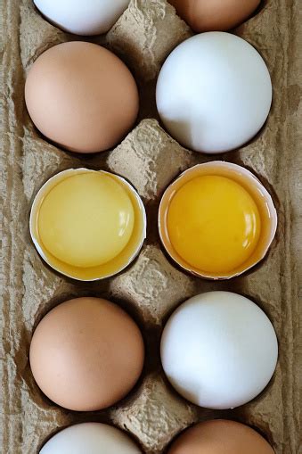 10개의 혼합 색상 닭고기 달걀 5개의 흰색 및 5개의 갈색 교대 껍질 노른자와 알부민이 보이는 깨진 계란 2개 높은 보기의 전체 프레임 이미지 0명에 대한 스톡 사진 및