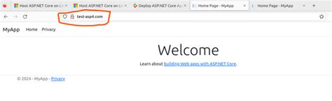 Redirecting To Not Working On Net App On Apache Rdotnet