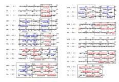 Structure Based Sequence Alignment Of Template Initial And Final Download Scientific Diagram