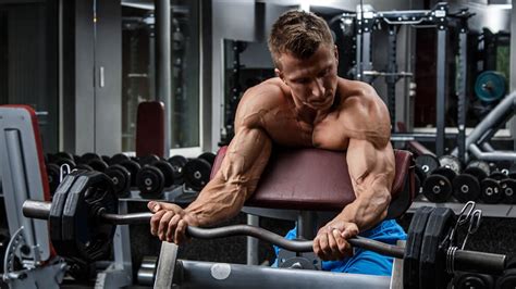The 15 Best Spider Curl Alternatives For Bigger Stronger Biceps Fitness Volt