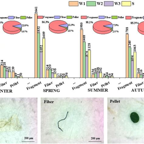 Seasonal Microplastic Color Variation And Distribution In Different