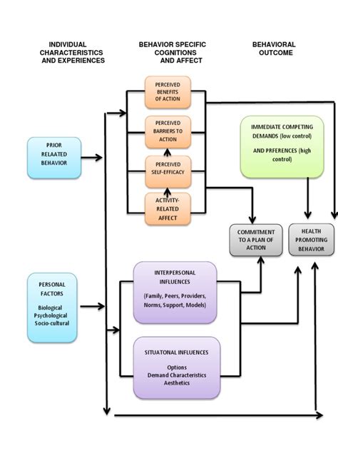 Theoretical Framework Pdf Self Efficacy Interpersonal Communication