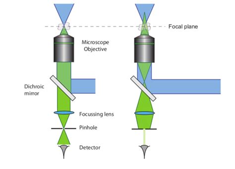 Confocalmicroscope Scientific Volume Imaging