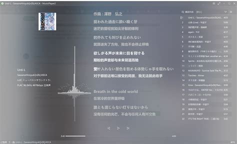 一些建议 · Issue 509 · Zhongyang219musicplayer2 · Github